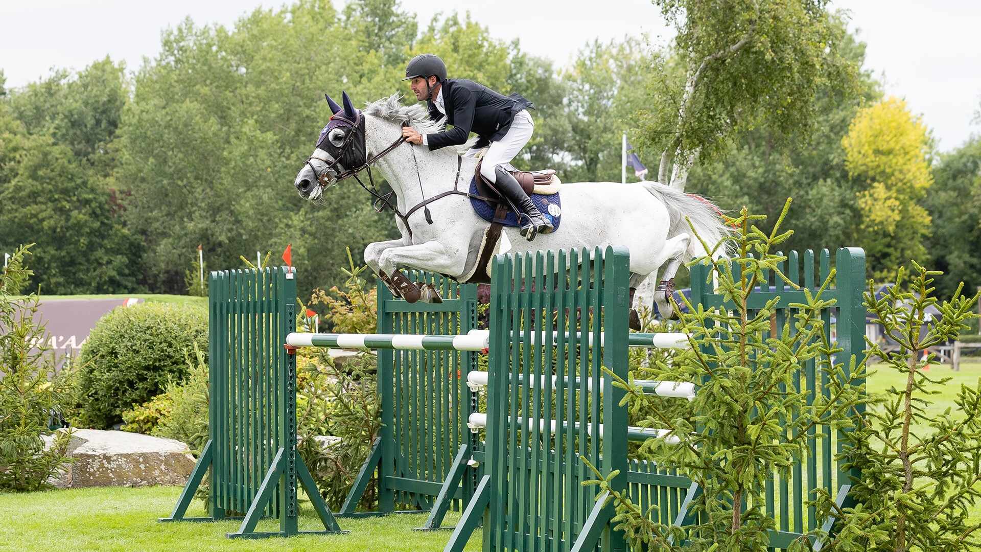 Our Show Jumping Ambassador James Arkins has taken his entire equine t ...