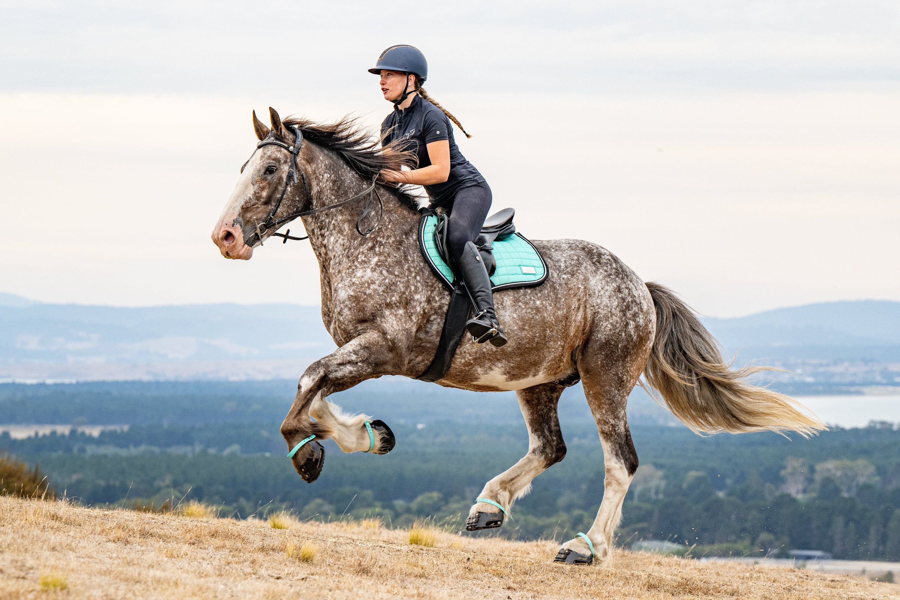 Why Scootboots Are Ideal for Feathered, Cold-Blooded Cross Breeds ...