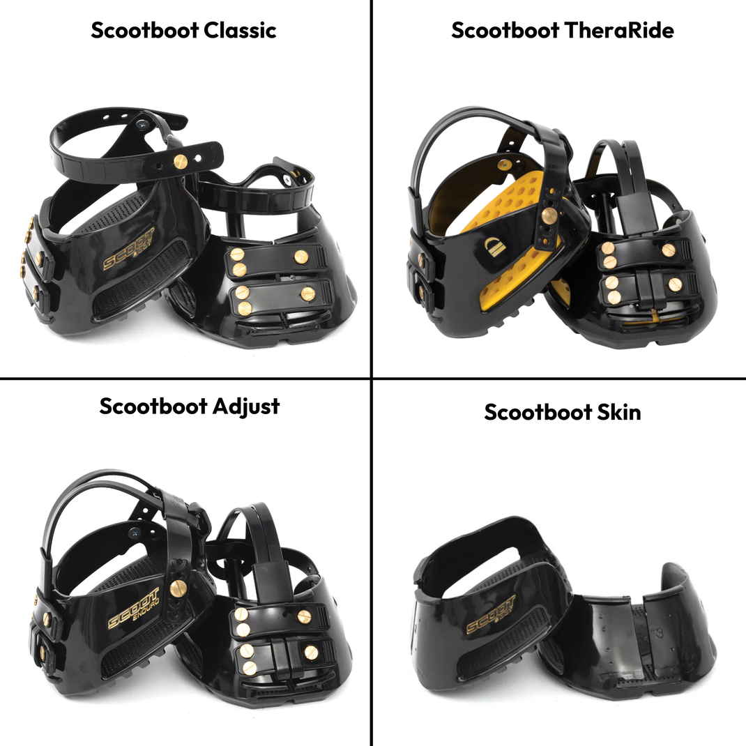 How to Prevent Snowballs in Your Horse's Hooves During Winter ...